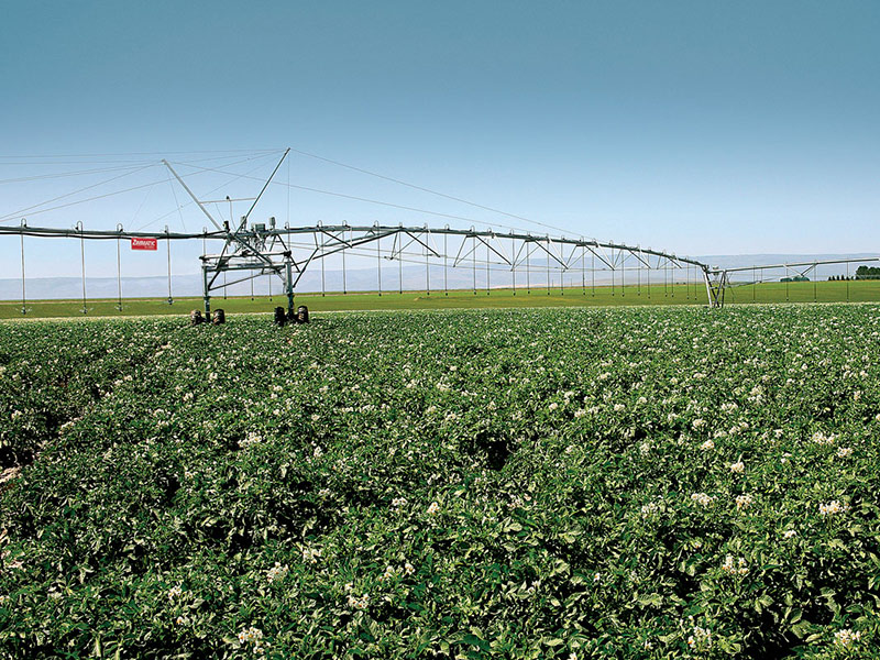 Photo Gallery - Goetz Irrigation