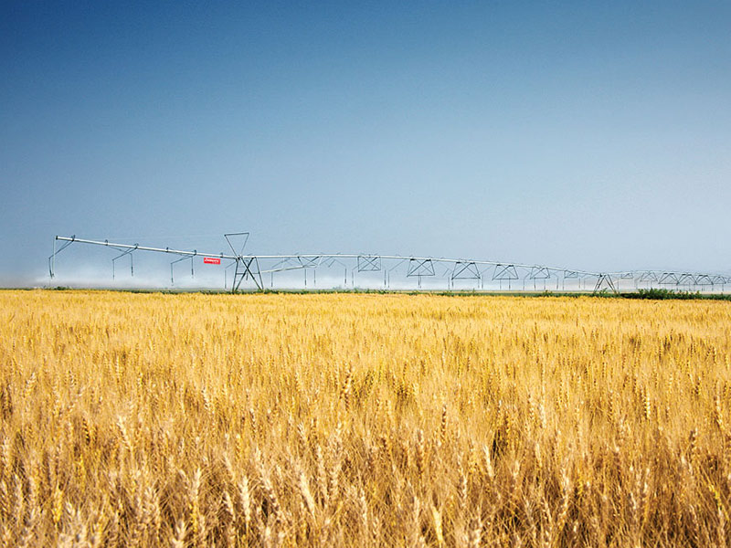 Photo Gallery - Goetz Irrigation
